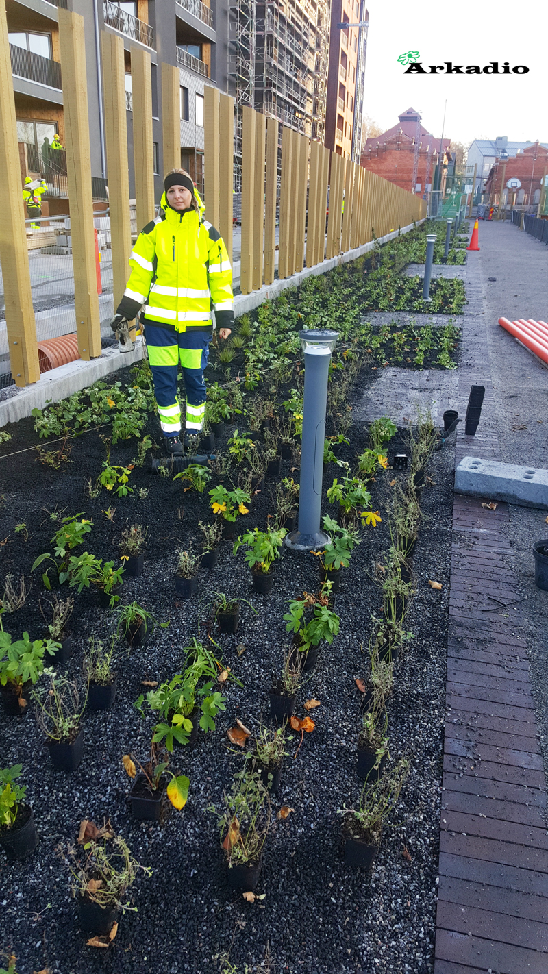 Plantering